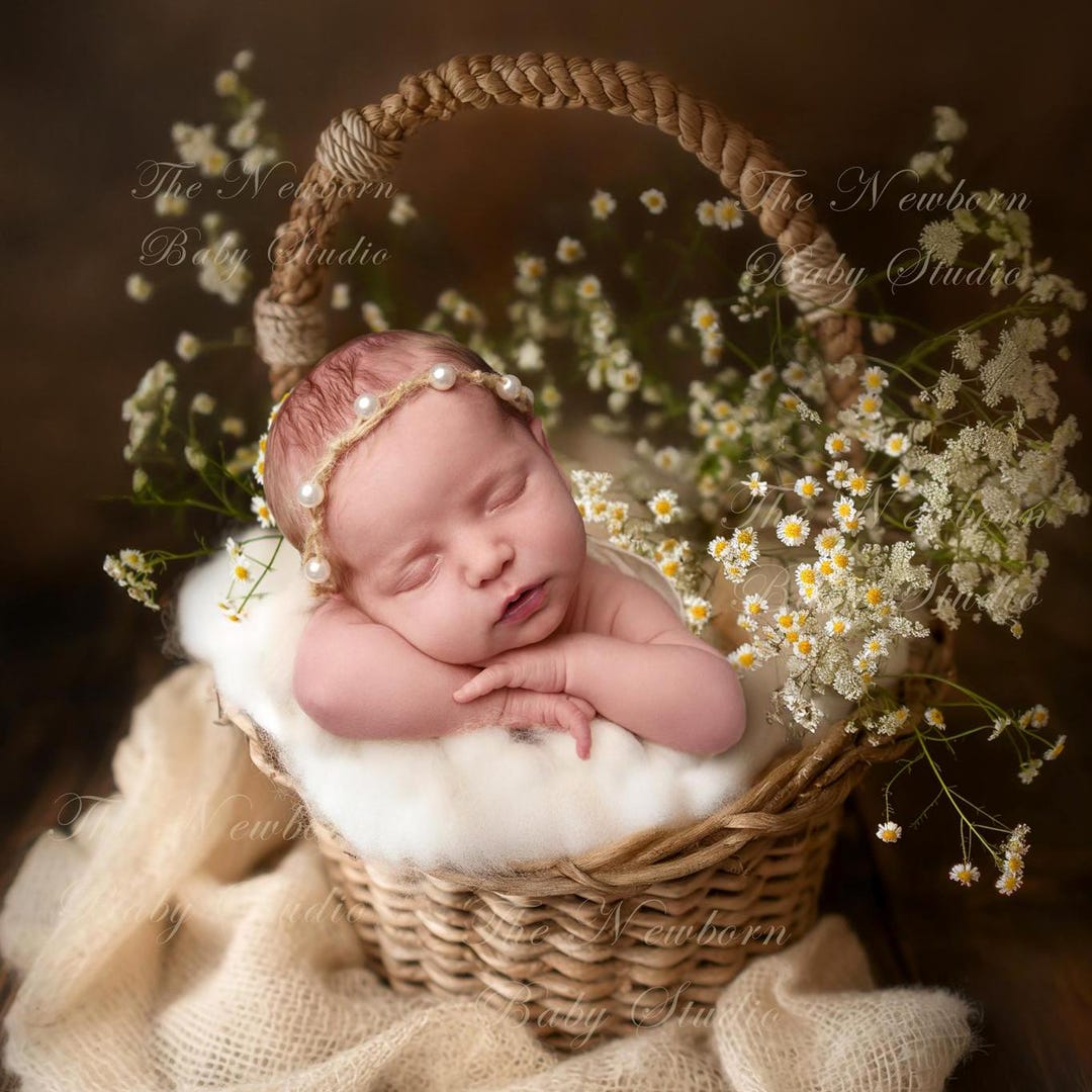 Newborn Digital Backdrop Basket Daisies Newborn Digital Background ...