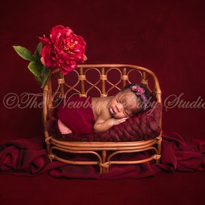 Newborn Digital Backdrop Set, 3 Newborn Digital Backdrops, Digital ...