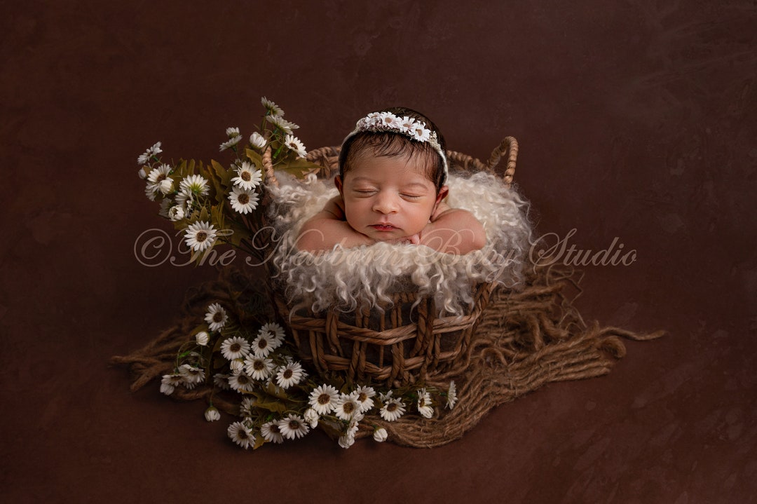 Newborn Digital Backdrop, Digital Backdrop Newborn, Vintage, Daisies ...