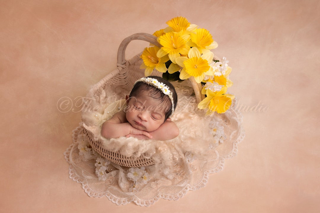 Newborn Digital Backdrop, Newborn Digital Background, Digital Backdrop ...
