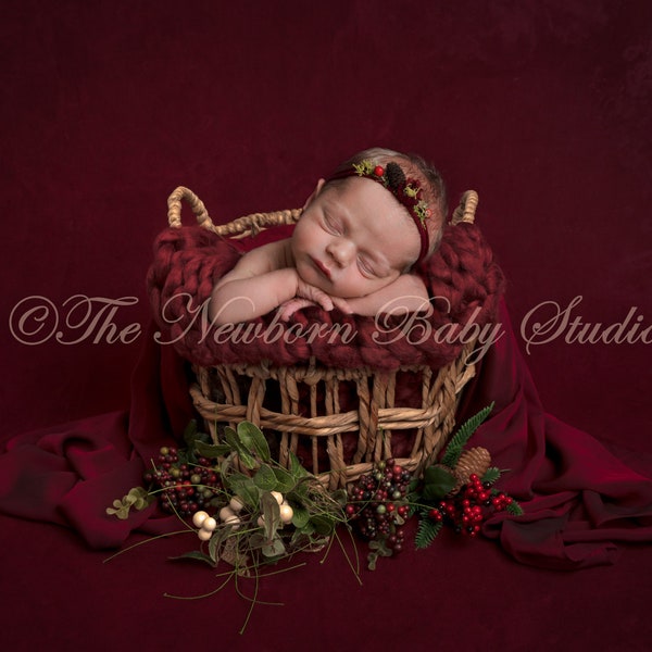 Christmas Newborn Digital Backdrop - Etsy