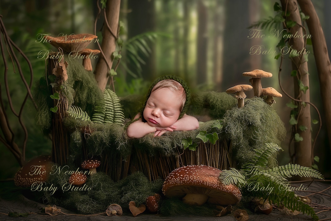 Newborn Digital Backdrop, Digital Backdrop Newborn, Newborn Digital ...