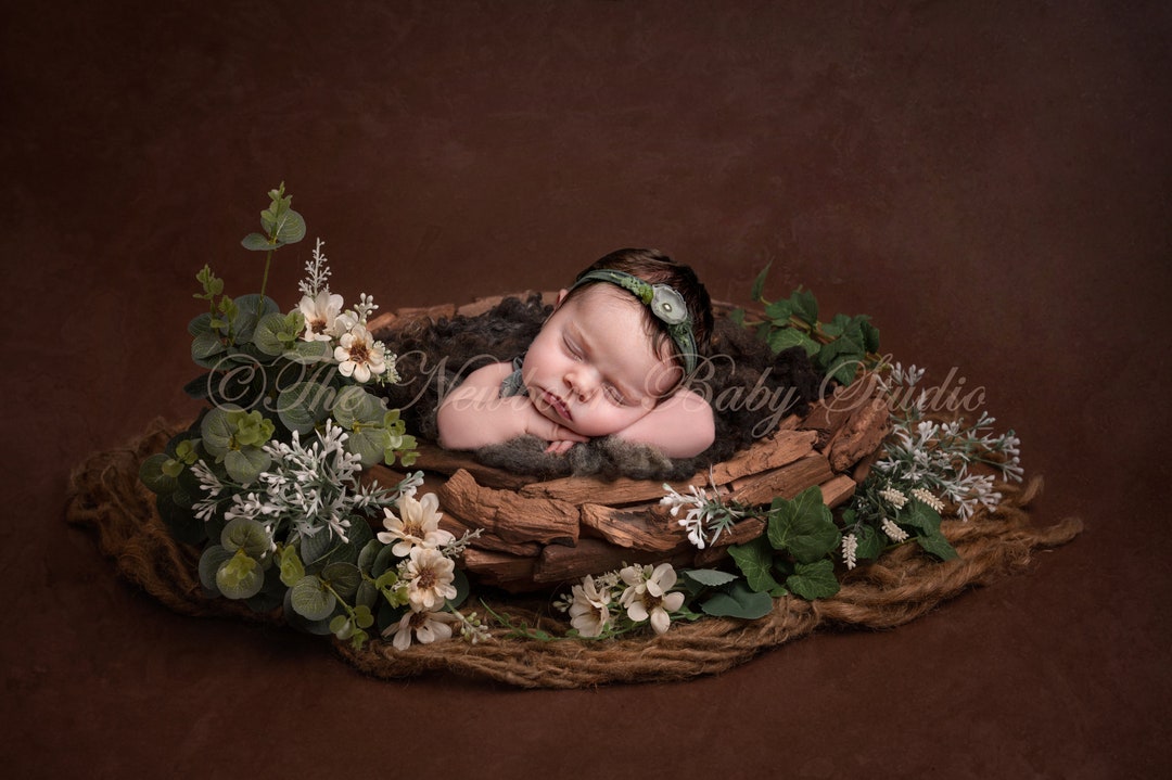 Woodland Newborn Digital Backdrop, Background Newborn Baby Girl, Dark ...