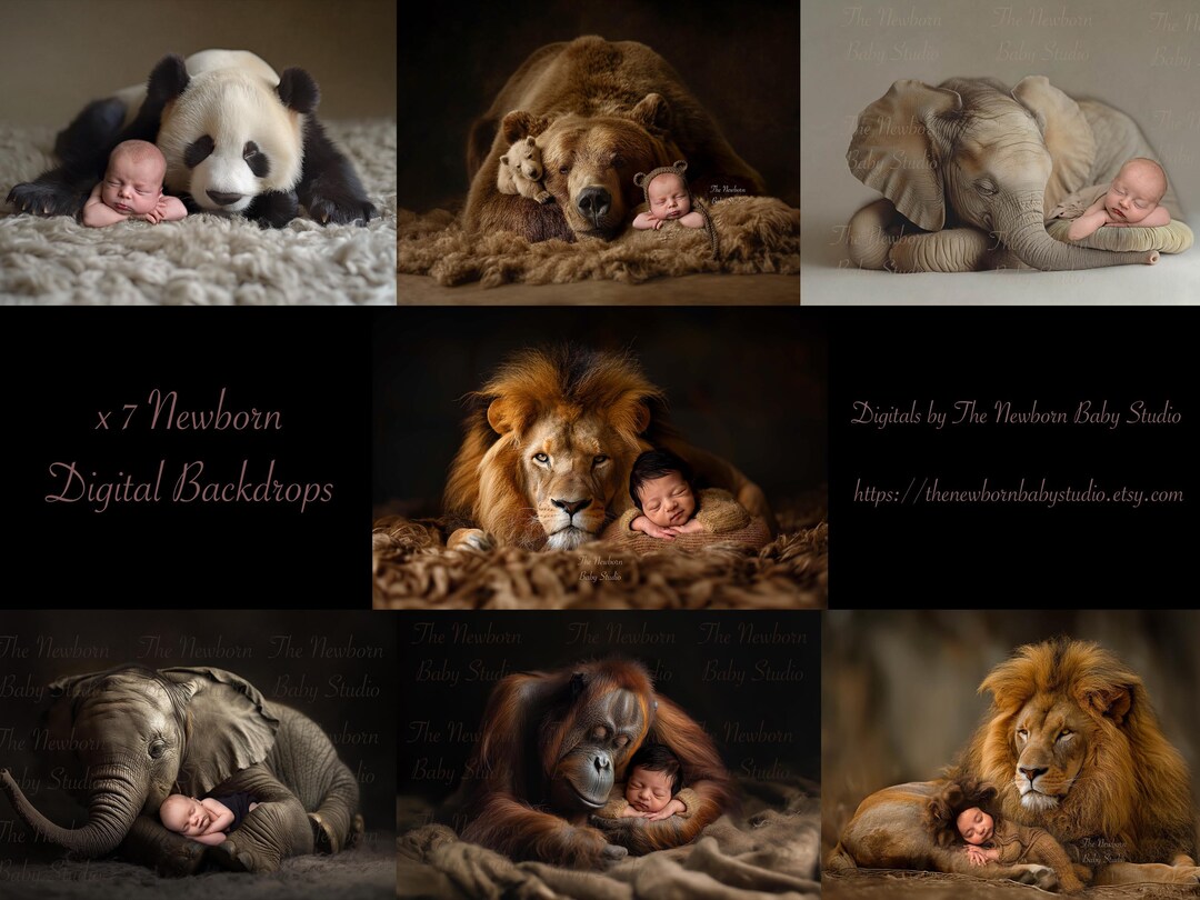 Newborn Digital Backdrop Set | Safari Animal Bundle | Baby Photoshop ...