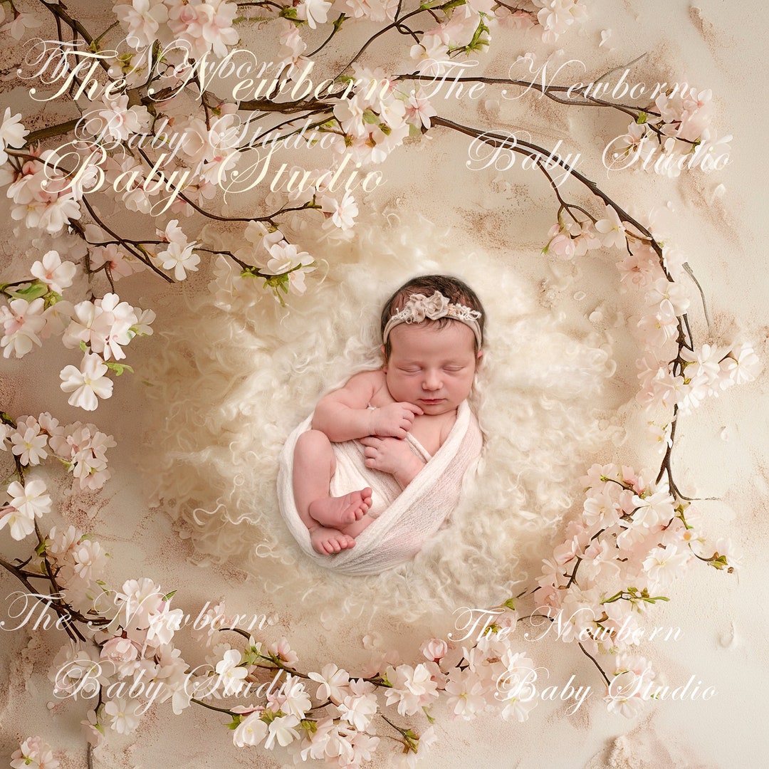 Newborn Digital Backdrop, Blossom Backdrop Newborn, Newborn Composite ...
