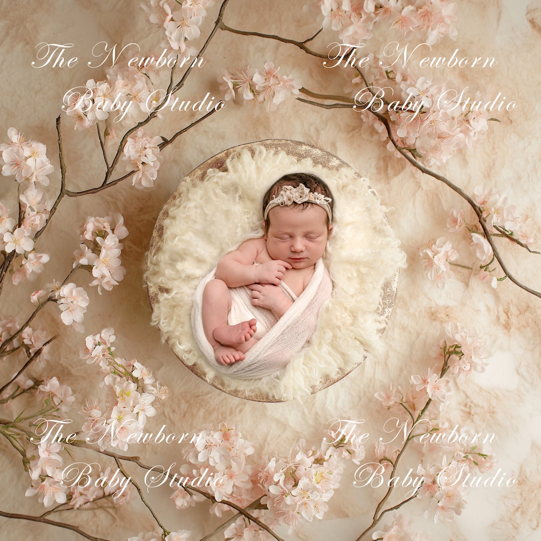 Newborn Digital Backdrop, Digital Backdrop Newborn, Newborn Digital ...