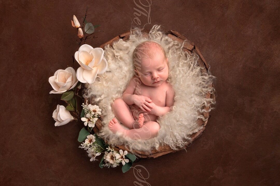 Newborn Digital Backdrop, Newborn Digital Background, Newborn Digital ...