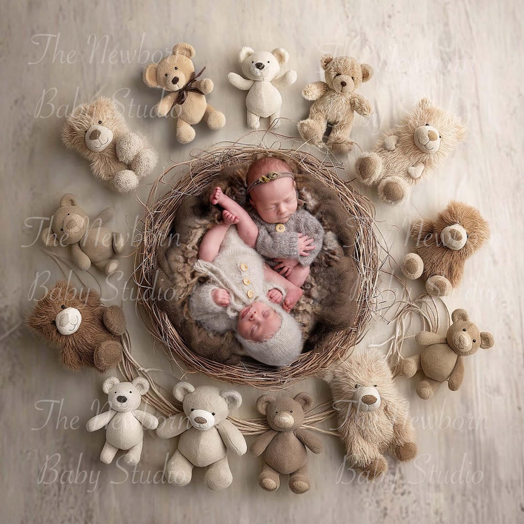 Newborn Digital Backdrop Twins Newborn Digital Background Twins Teddy ...
