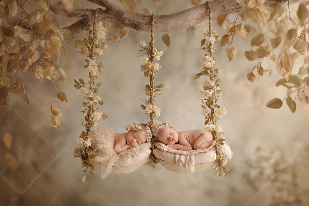 Newborn Twin Swing Digital Backdrop | Fine‑art Composite | Neutral Twin ...