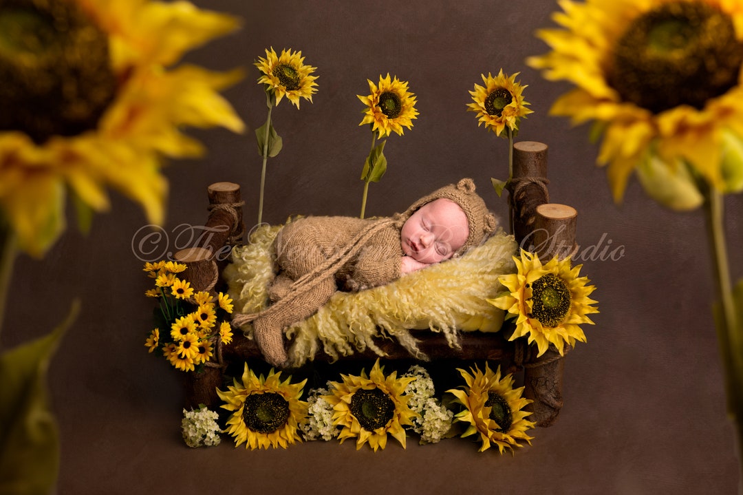 Sunflower Newborn Digital Backdrop, Sunflower Digital Backdrop Newborn ...