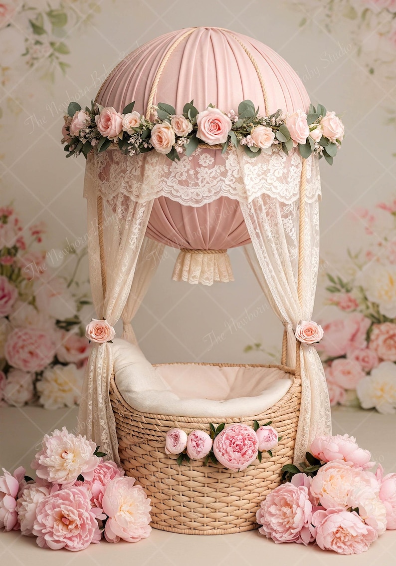 Hot Air Balloon Newborn Digital Backdrop , Pink Floral Baby Prop ...
