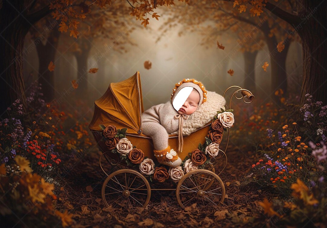 Face Insert Newborn Digital Backdrop | Autumn Vintage Pram Template ...