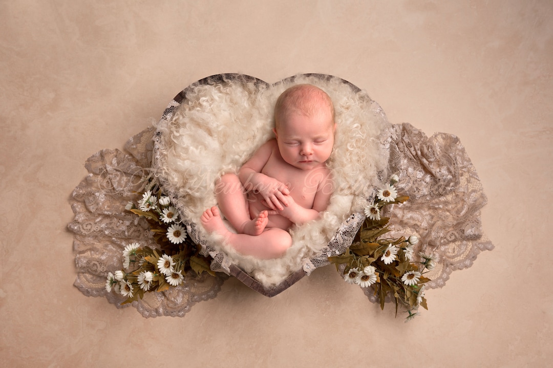 Newborn Digital Backdrop, Newborn Digital Background, Digital ...