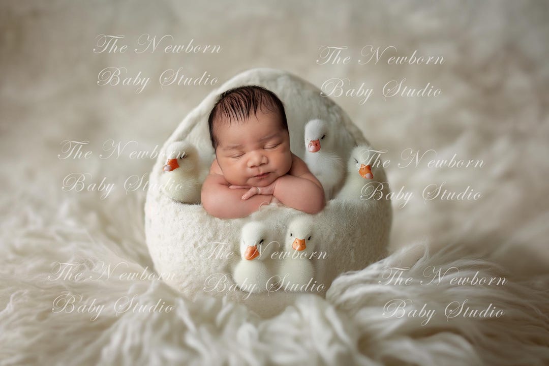 Newborn Digital Backdrop Easter, Newborn Digital Background, Easter Egg ...