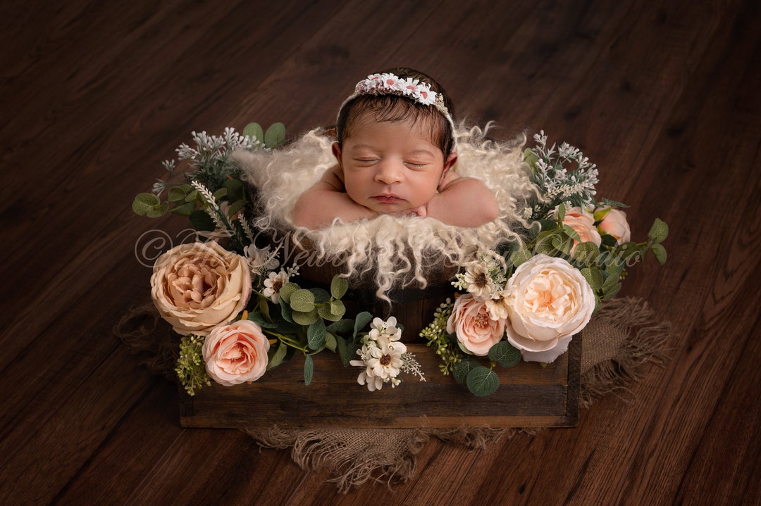 Newborn Digital Backdrop, Newborn Digital Background, Digital Backdrop ...