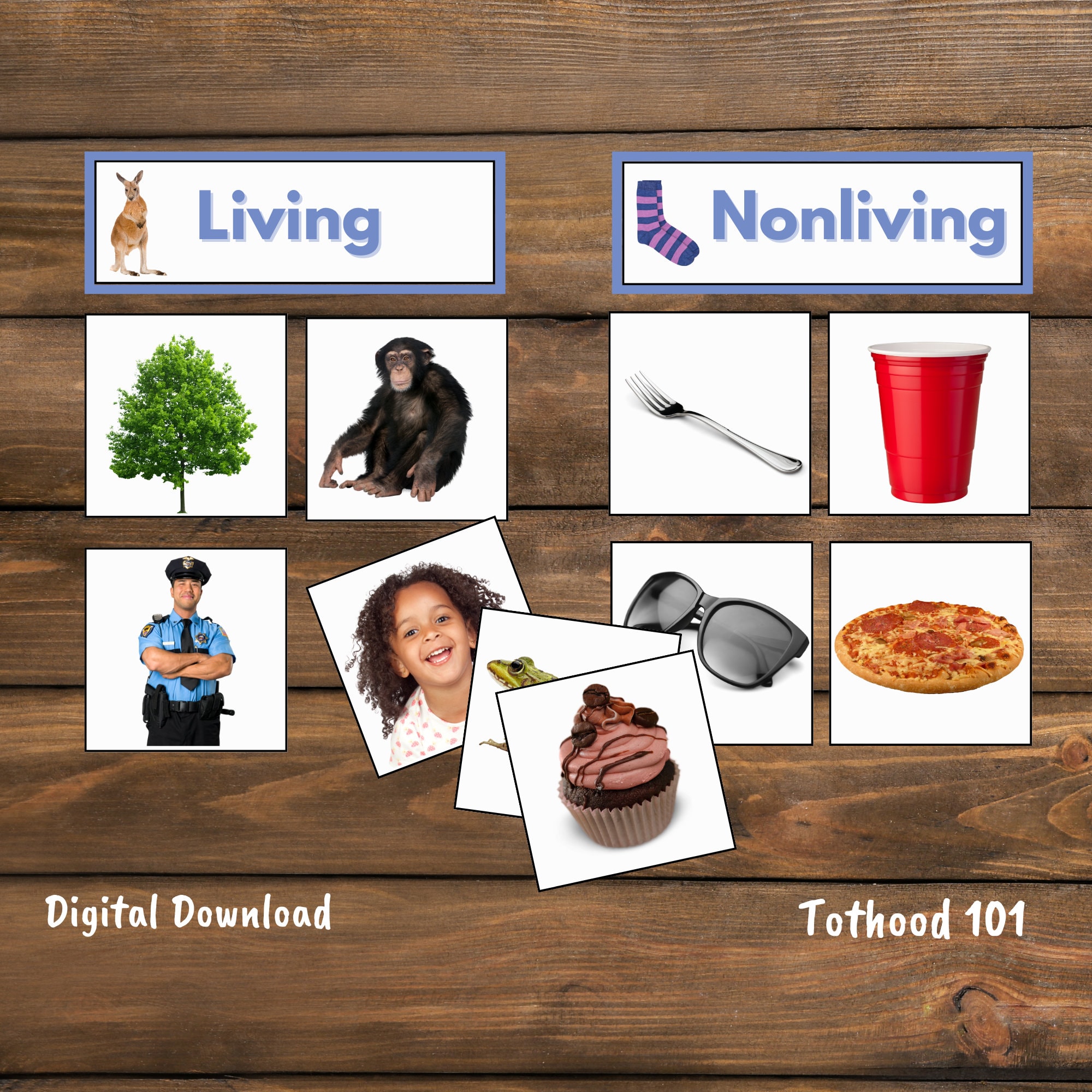 Living and Nonliving Sort, Preschool, Homeschool, Preschool Science ...