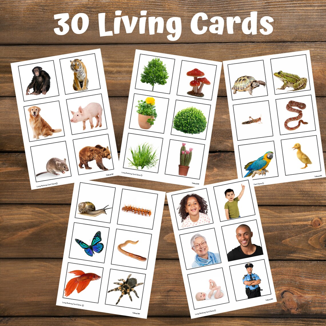 Living and Nonliving Sort, Preschool, Homeschool, Preschool Science ...