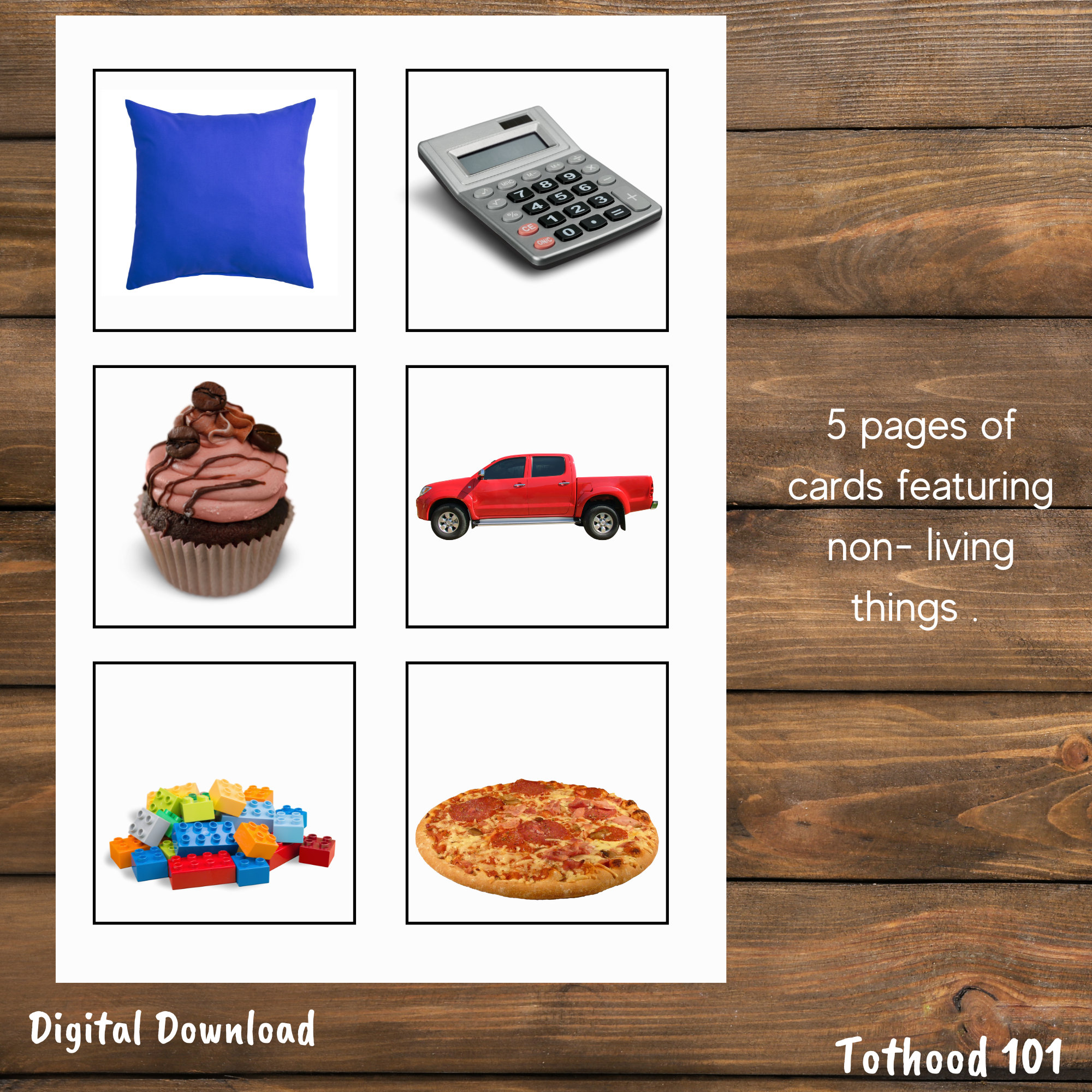 Clasificación de seres vivos y no vivos preescolar educación - Etsy España