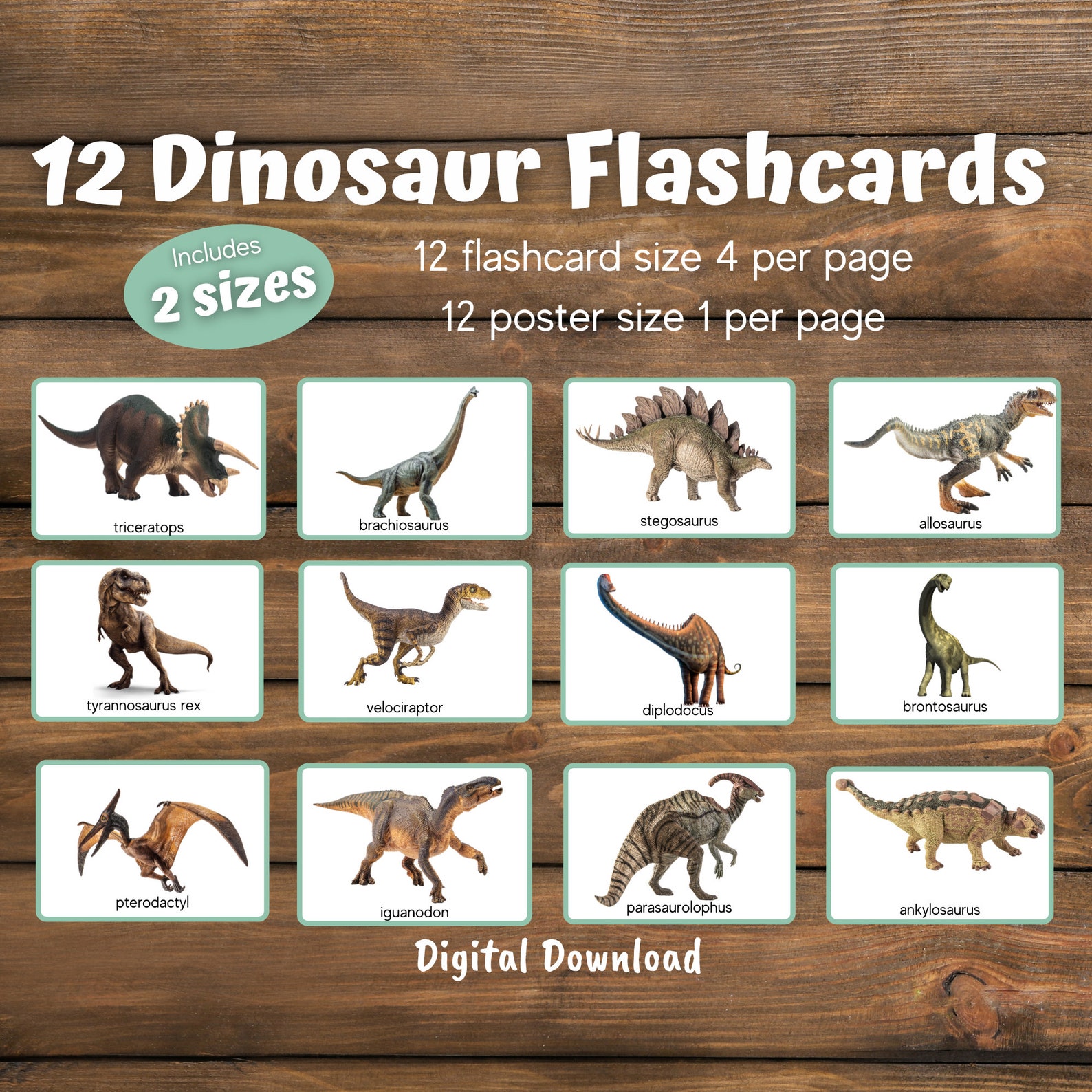 Dinosaur Flashcards, Preschool Activities, Preschool Science ...