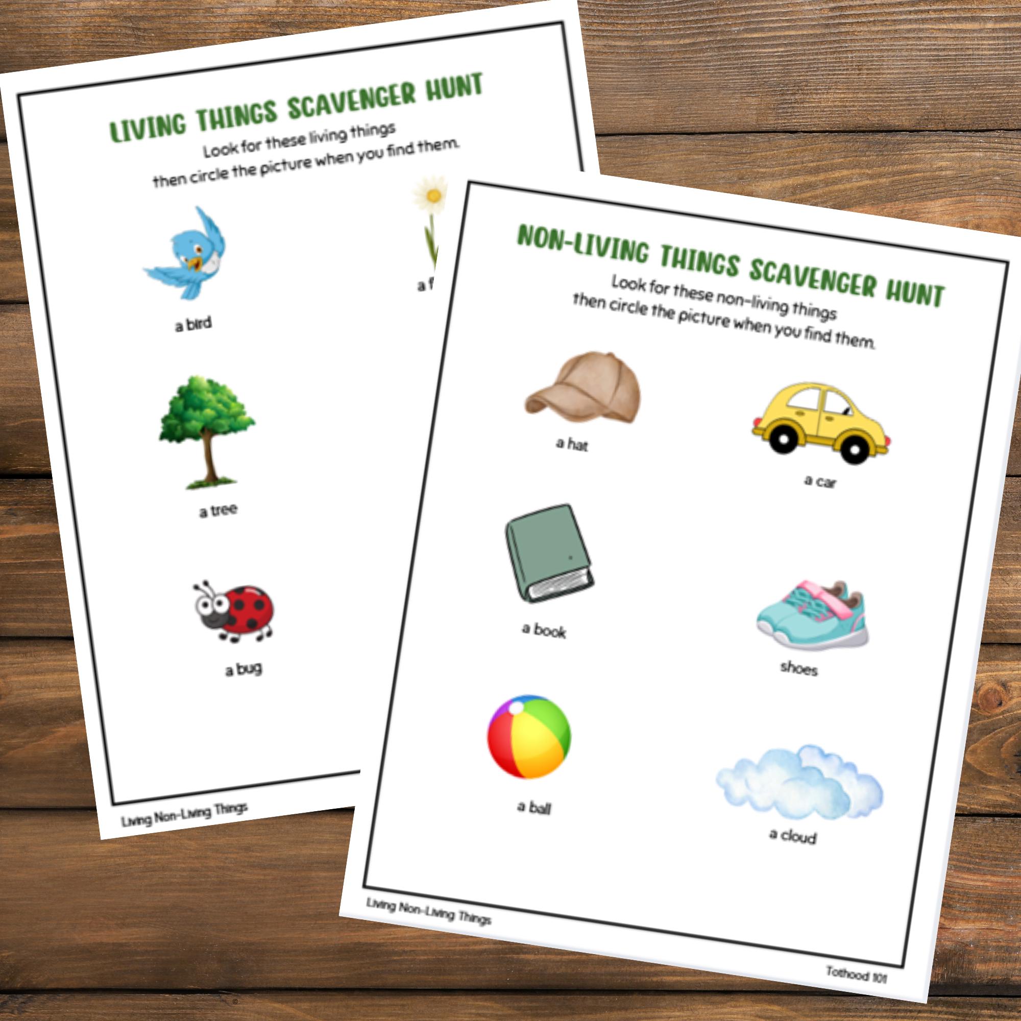 Living Non-living Sorting Game: Preschool Activity Bundle, Preschool ...