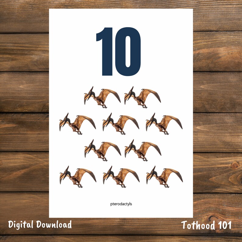 Dinosaur Number Flashcards 1-10: Preschool Counting Printable Activity ...