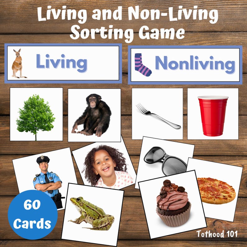 Living Non-living Sorting Game: Preschool Activity Bundle, Preschool ...