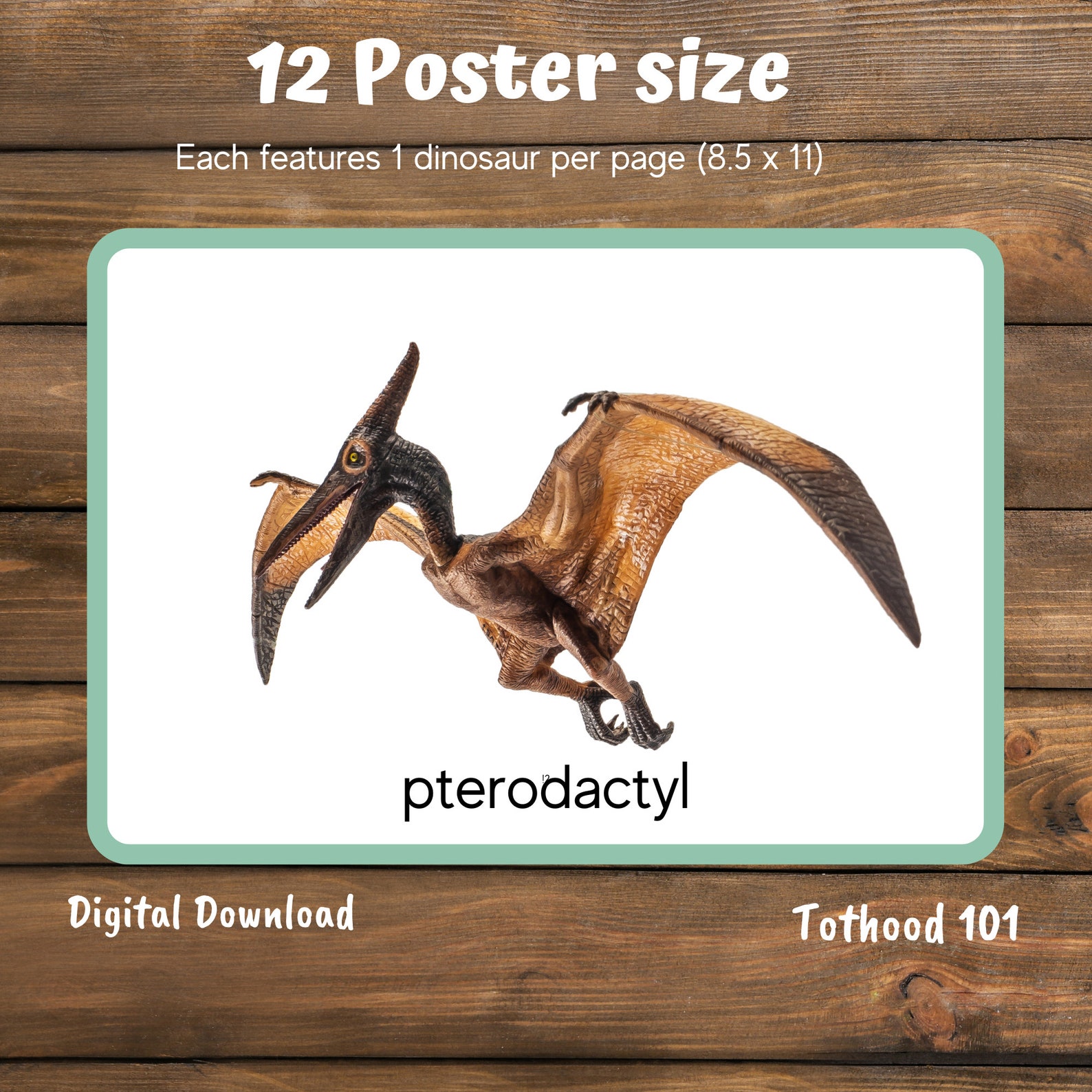 Dinosaur Flashcards, Preschool Activities, Preschool Science ...