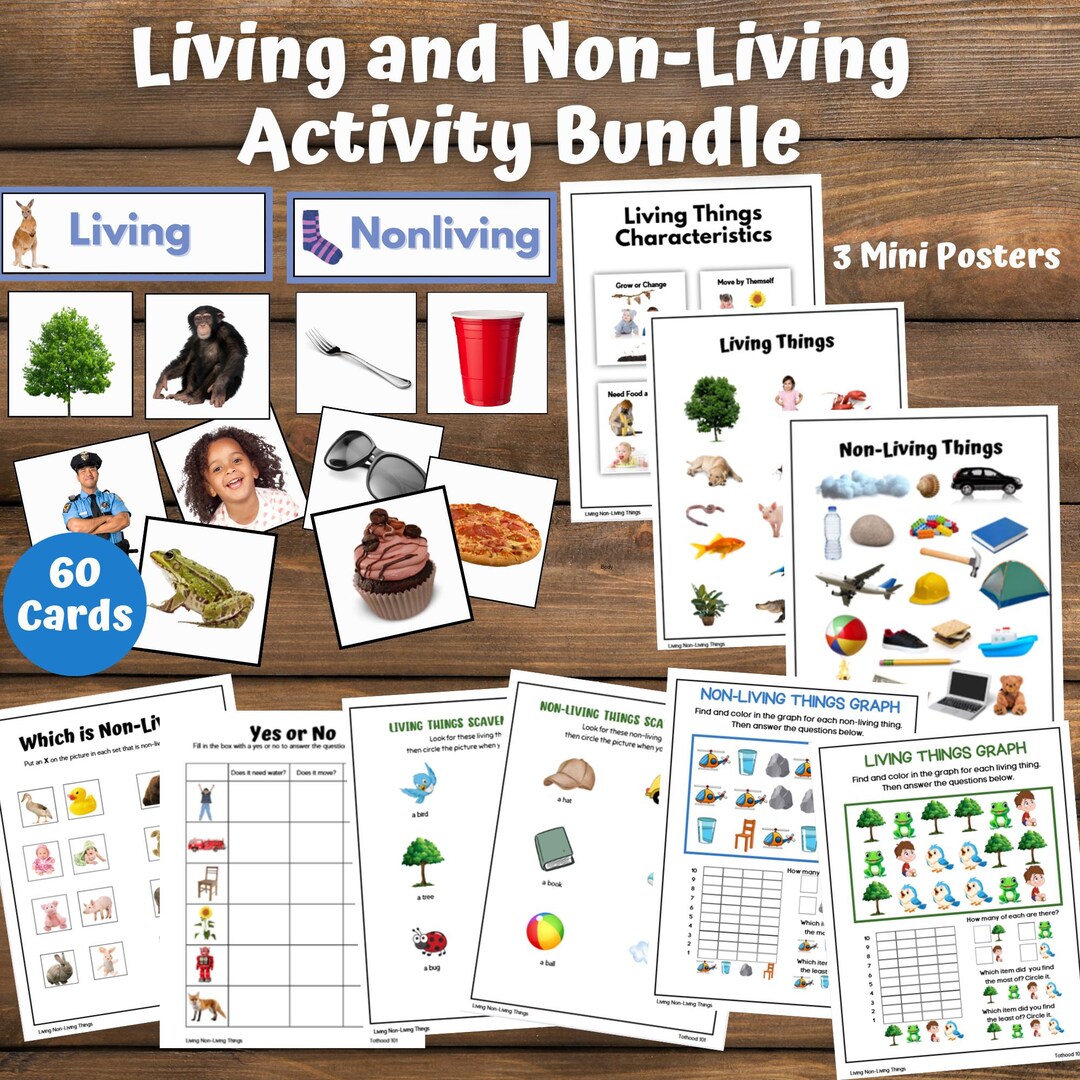Living Non-living Sorting Game: Preschool Activity Bundle, Preschool ...