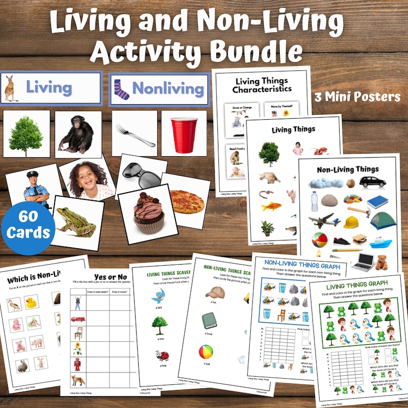 Living Non-living Sorting Game: Preschool Activity Bundle, Preschool ...