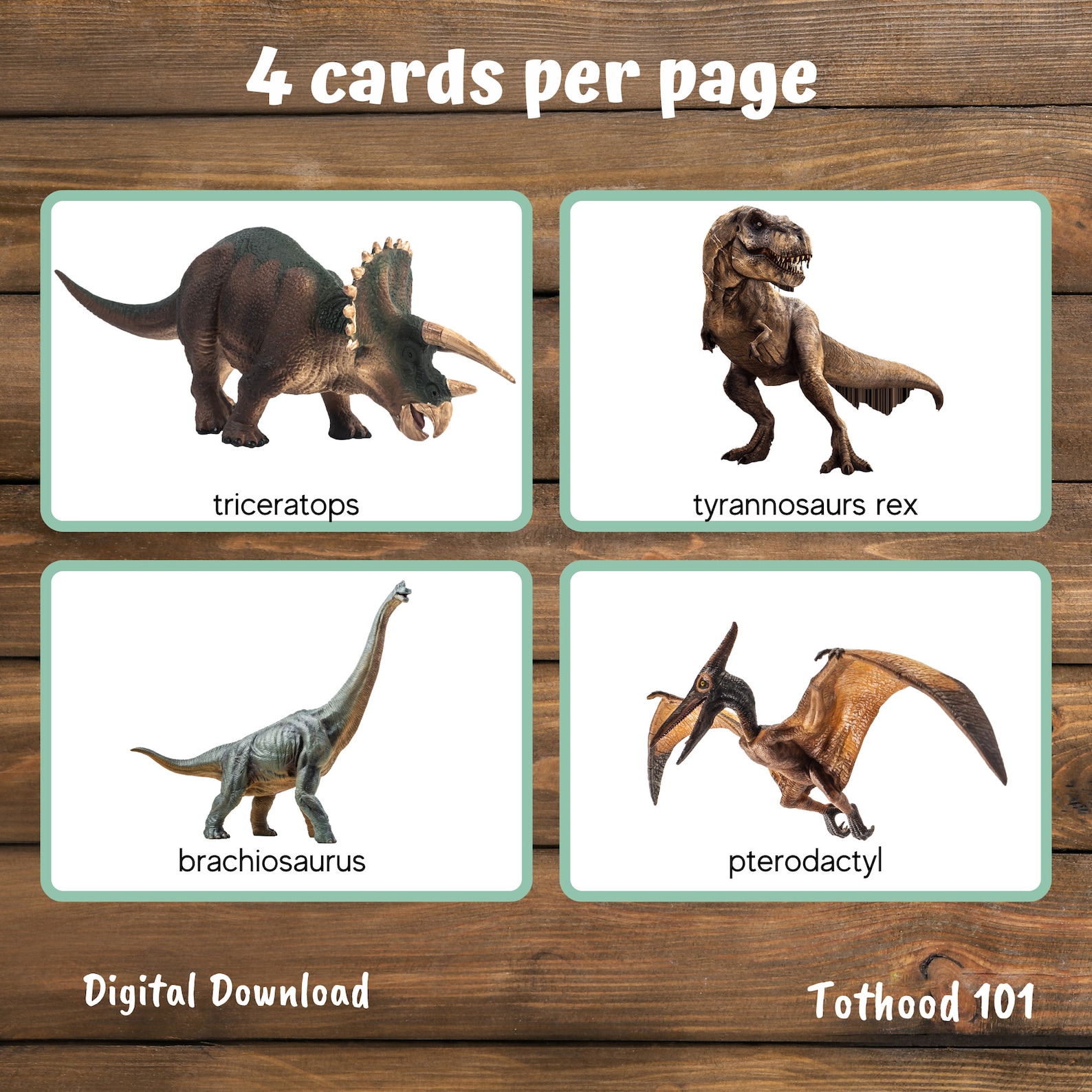 Dinosaur Flashcards, Preschool Activities, Preschool Science ...