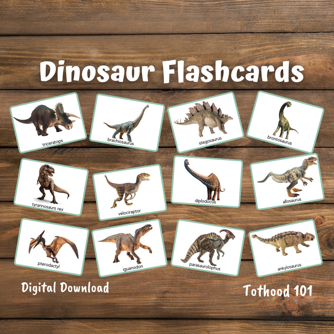 Dinosaur Flashcards Preschool Activities Preschool Science - Etsy