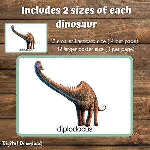 Dinosaur Flashcards, Preschool Activities, Preschool Science ...