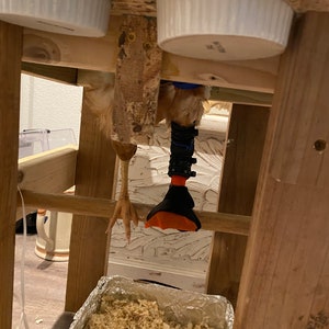 Full Leg and Foot Splint for Chicken or Duck - Etsy