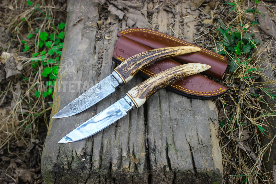 Custom Stag Horn Hunting Knife, Forged Knife With Elk Horn Grip ...