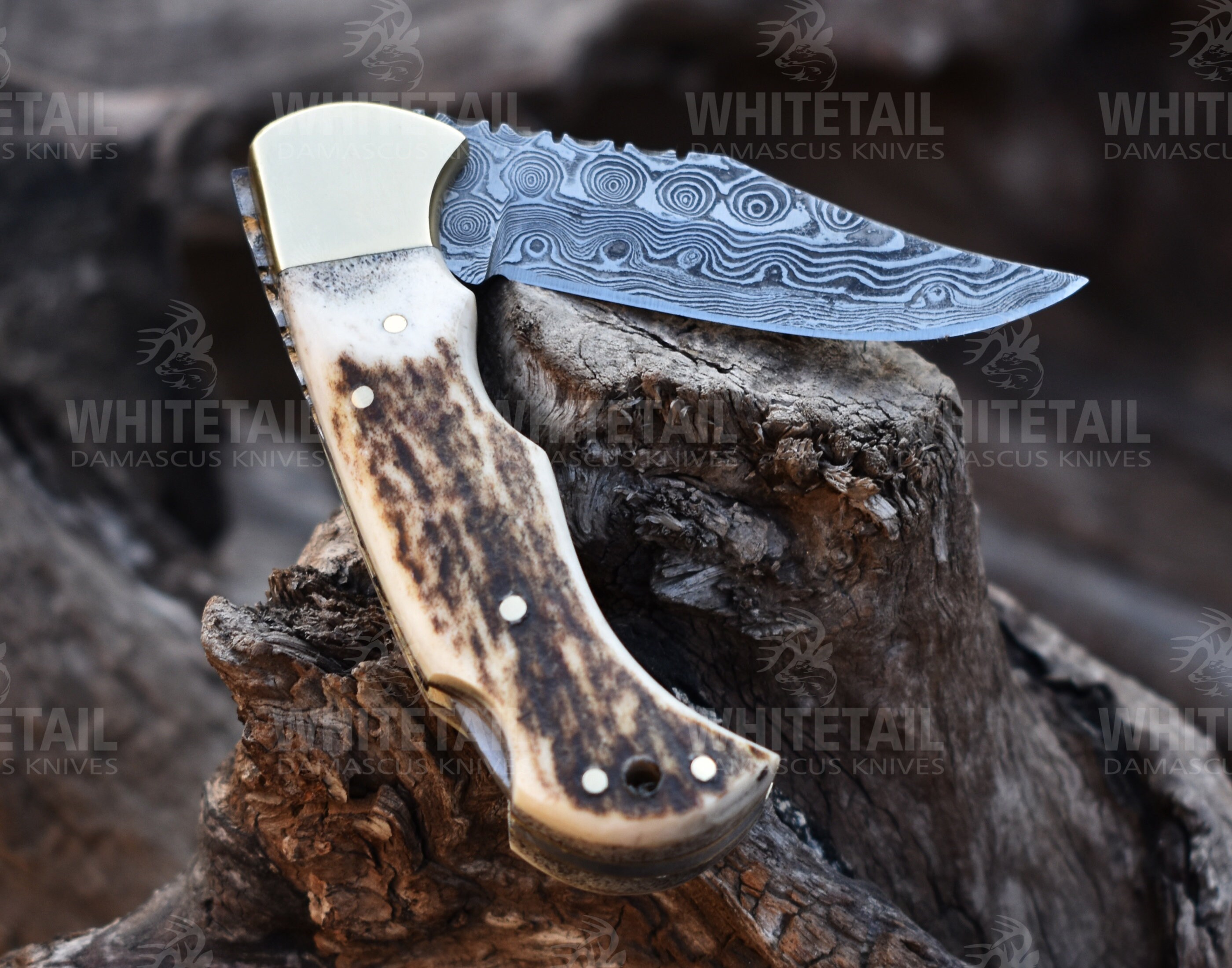 Handmade Antler Folding Knife, Stag Antler Knife, Damascus Steel Pocket ...