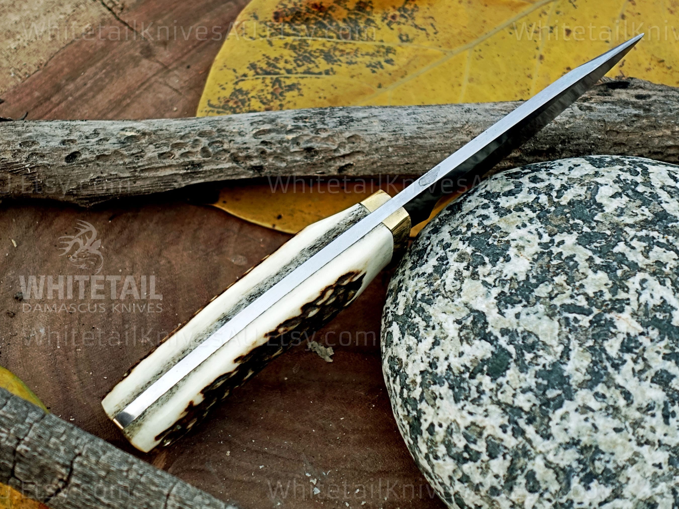 Stag Antler Knife, Tool Steel Knife, Deer Antler Hunting Knife ...