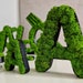 Personalized 3D Printed Moss Letter, Office Greenery Decor - Etsy
