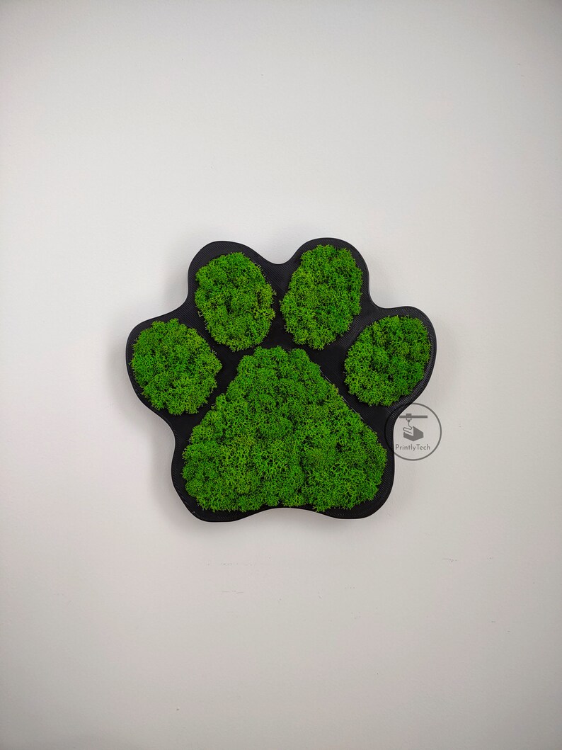 Vet Clinic Dog Paw Wall Decor Sign, Home Decor for Dog Lovers, Moss ...