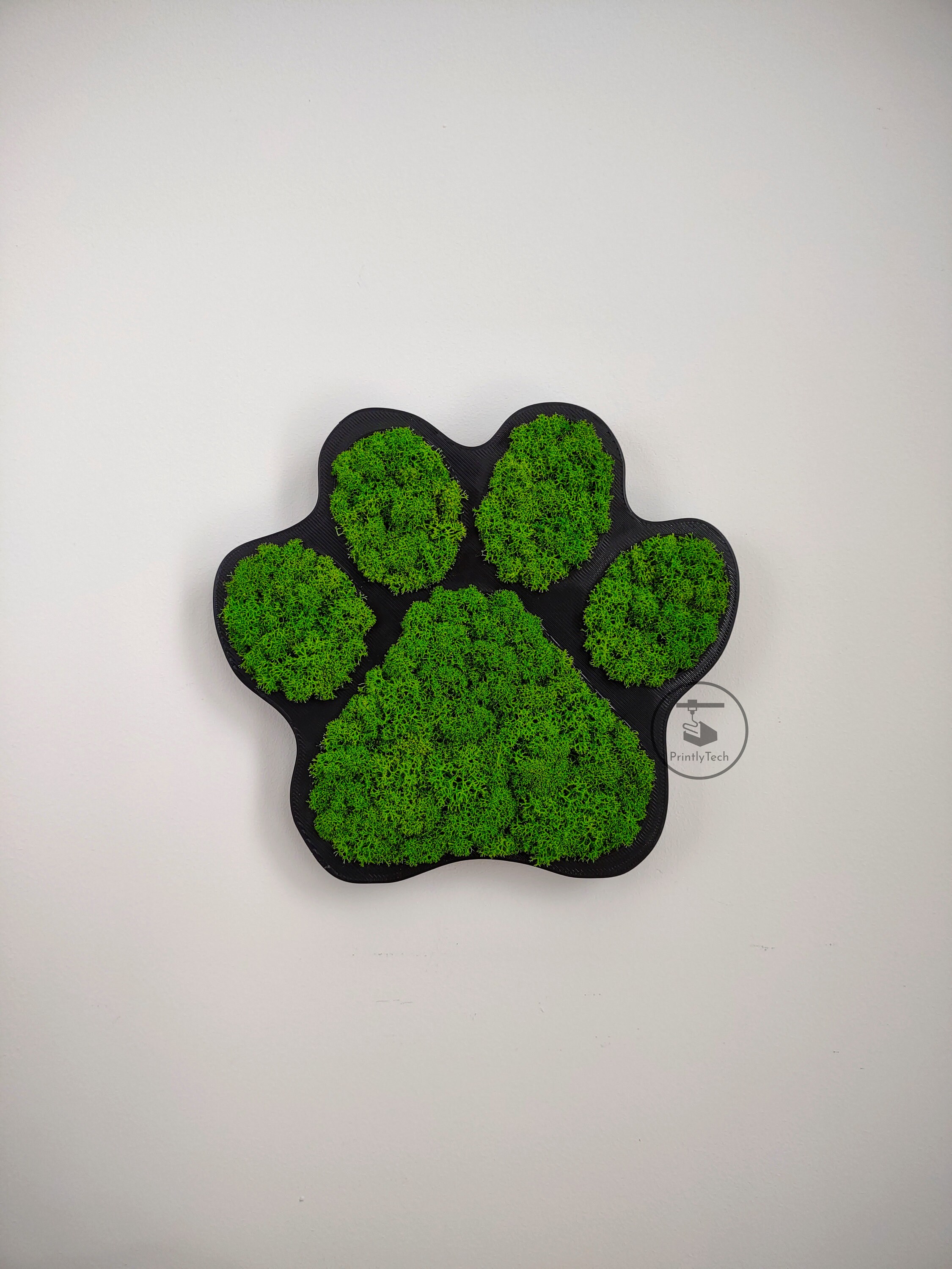 Vet Clinic Dog Paw Wall Decor Sign, Home Decor for Dog Lovers, Moss ...