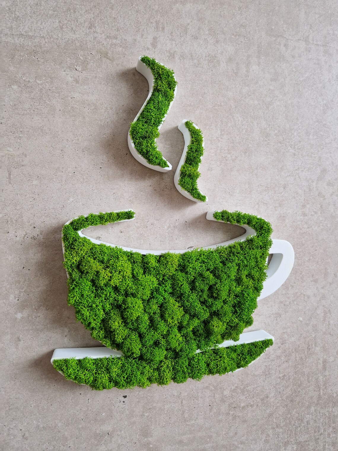 Cup of Coffee Filled With Moss, Coffe Cup Wall Decoration, Coffee Bar ...