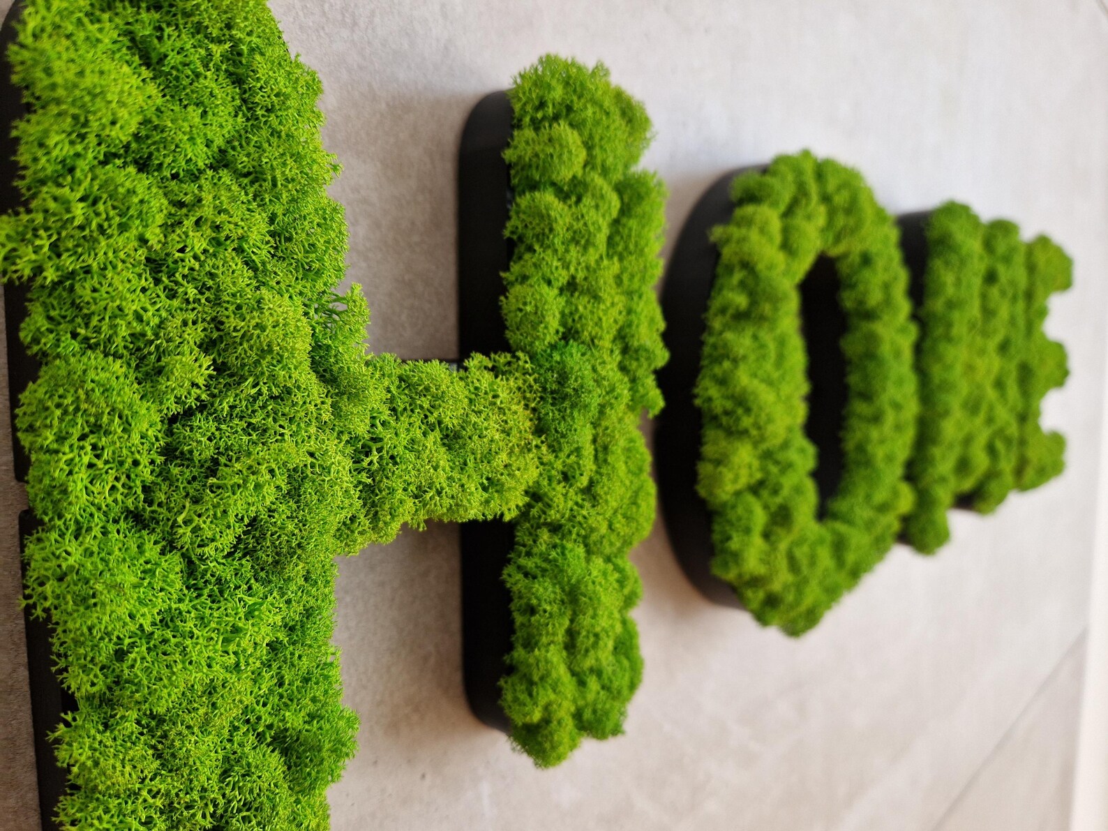 3D Preserved Moss Letters "home" Wall Art – Personalized Natural Decor ...