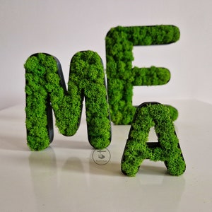 Personalized 3D Printed Moss Letter, Office Greenery Decor - Etsy