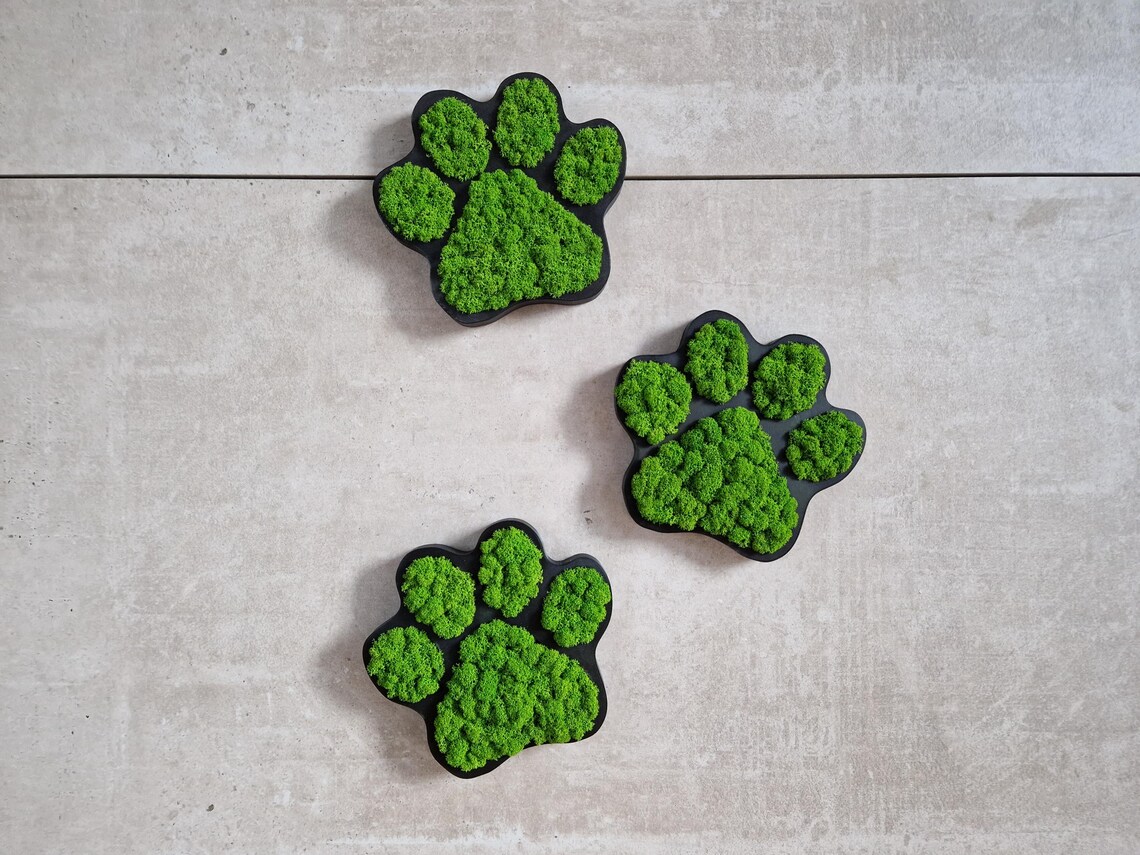Vet Clinic Dog Paw Wall Decor Sign, Home Decor for Dog Lovers, Moss ...