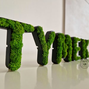 Personalized 3D Printed Moss Letter, Office Greenery Decor - Etsy