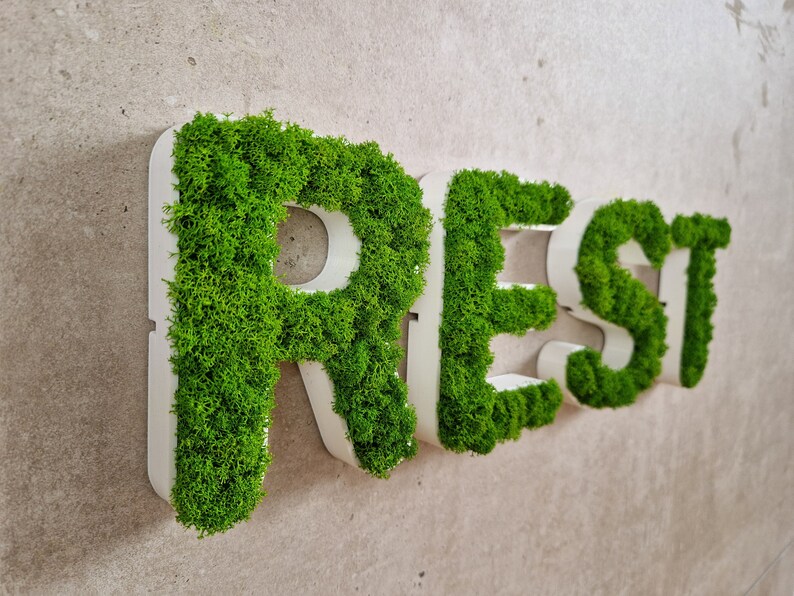 Unique 3D Printed Letters Filled With Moss, Personalised Alphabet Plant ...
