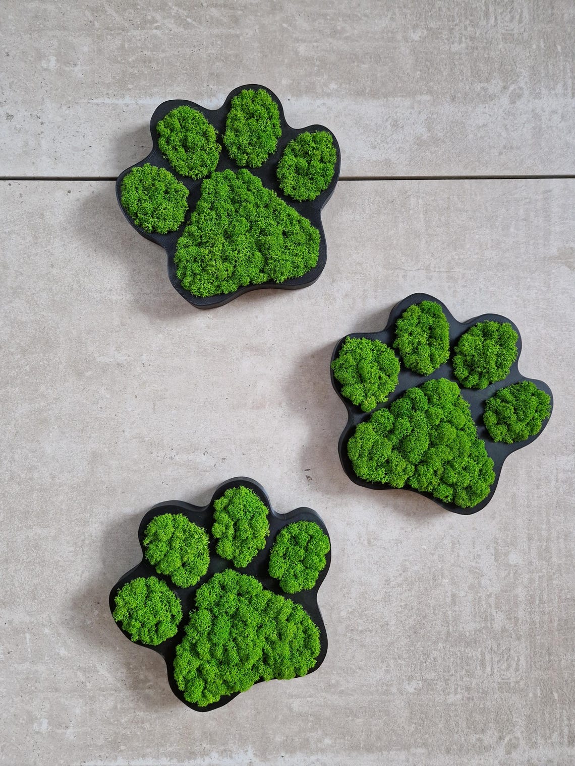 Vet Clinic Dog Paw Wall Decor Sign, Home Decor for Dog Lovers, Moss ...