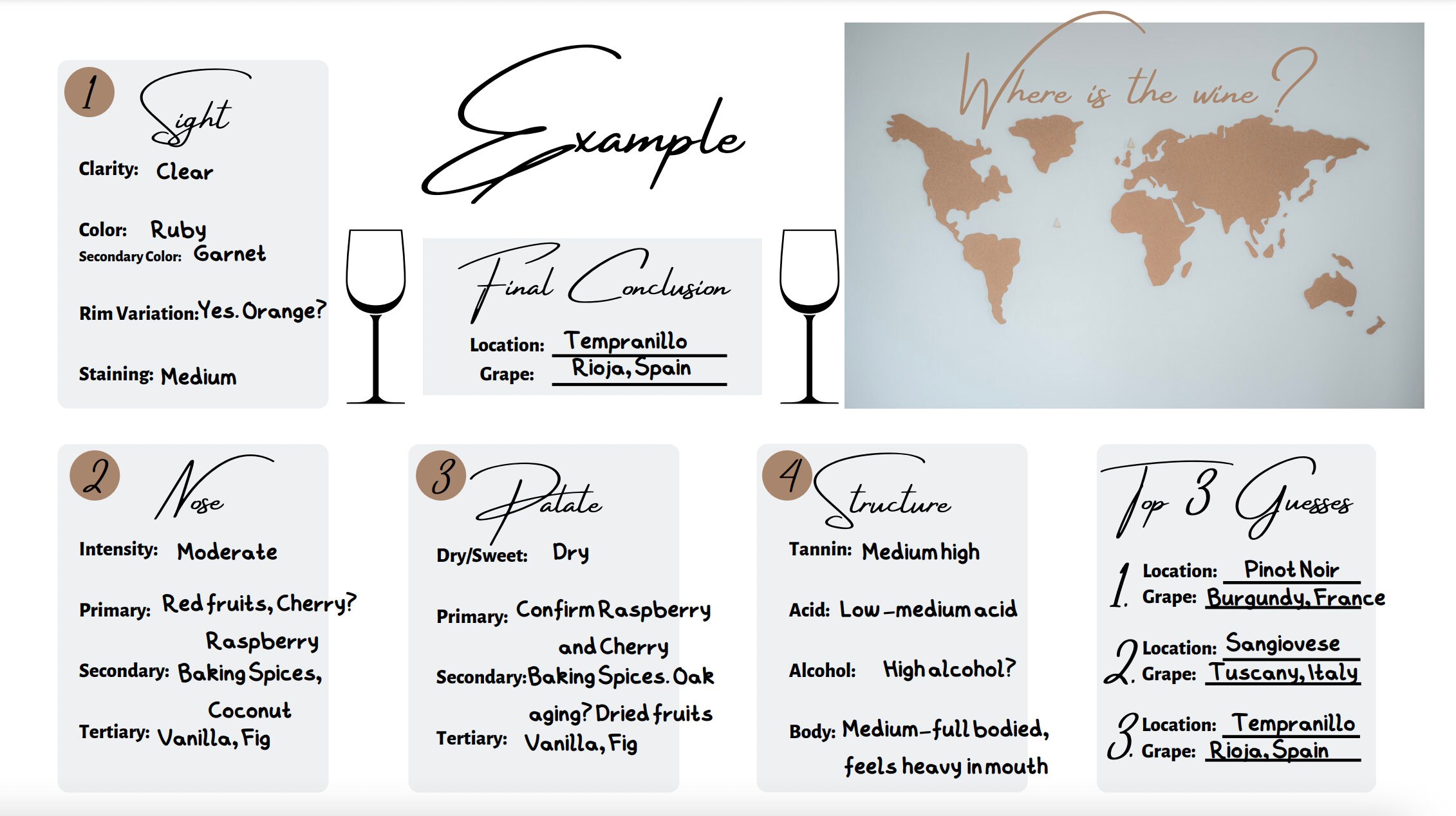 Wine Tasting Book for Beginners - Etsy