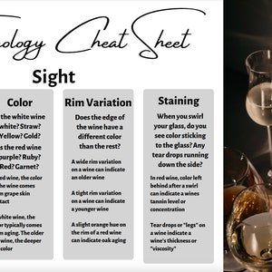 Wine Tasting Book for Beginners - Etsy