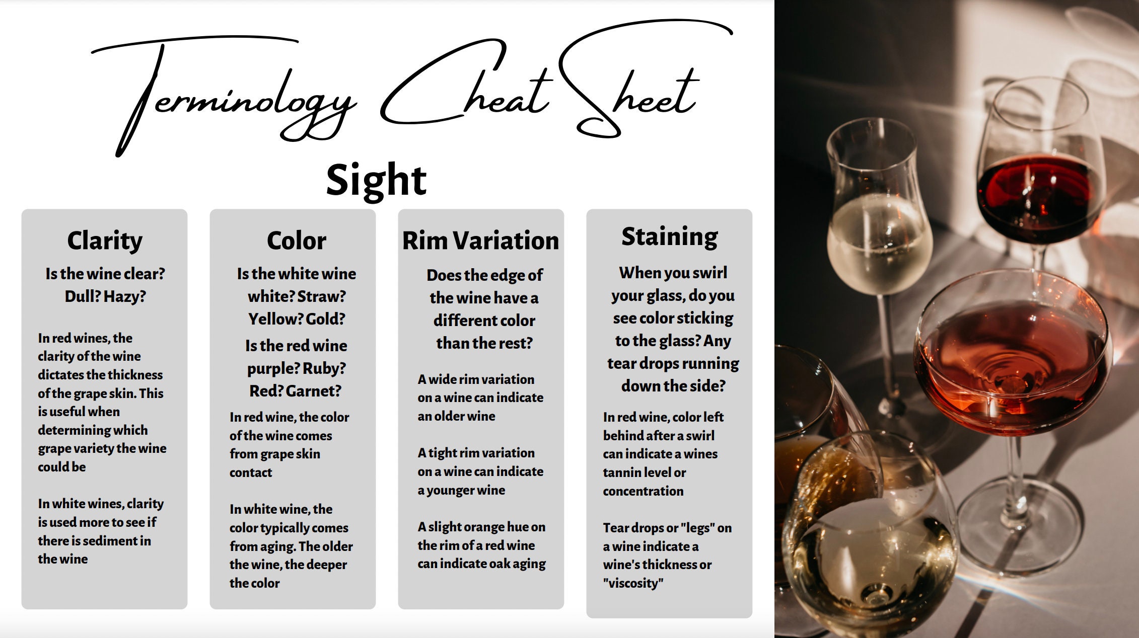 Wine Tasting Book for Beginners - Etsy