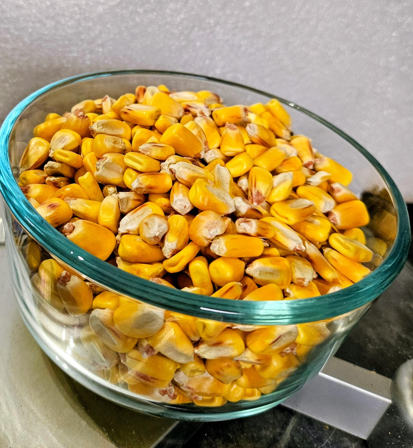 Whole Kernel Corn: Natural Treat for Chickens, Birds, & Squirrels Free ...